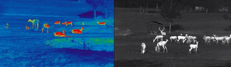 Thermal Imaging Cameras & Scopes | Optics Force