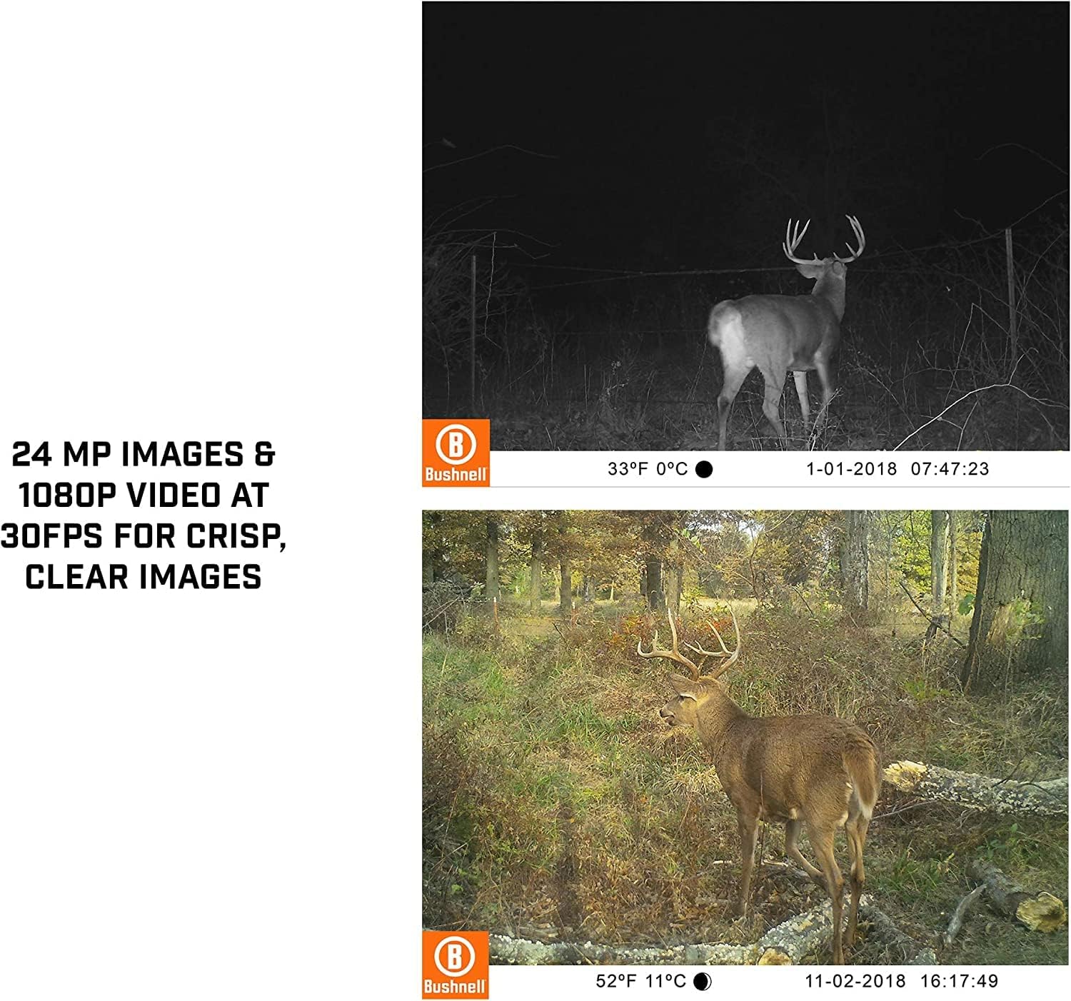 Bushnell 24MP CORE Trail Camera, Single Sensor